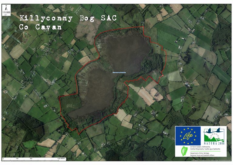 About Killyconny Bog - The Living Bog